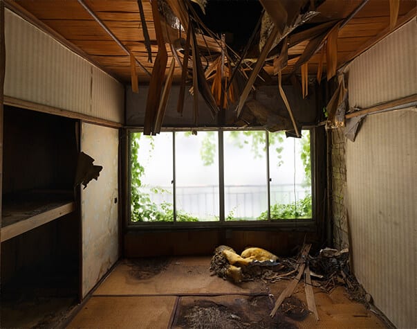 Fire & Soot Cleaning - Better Box